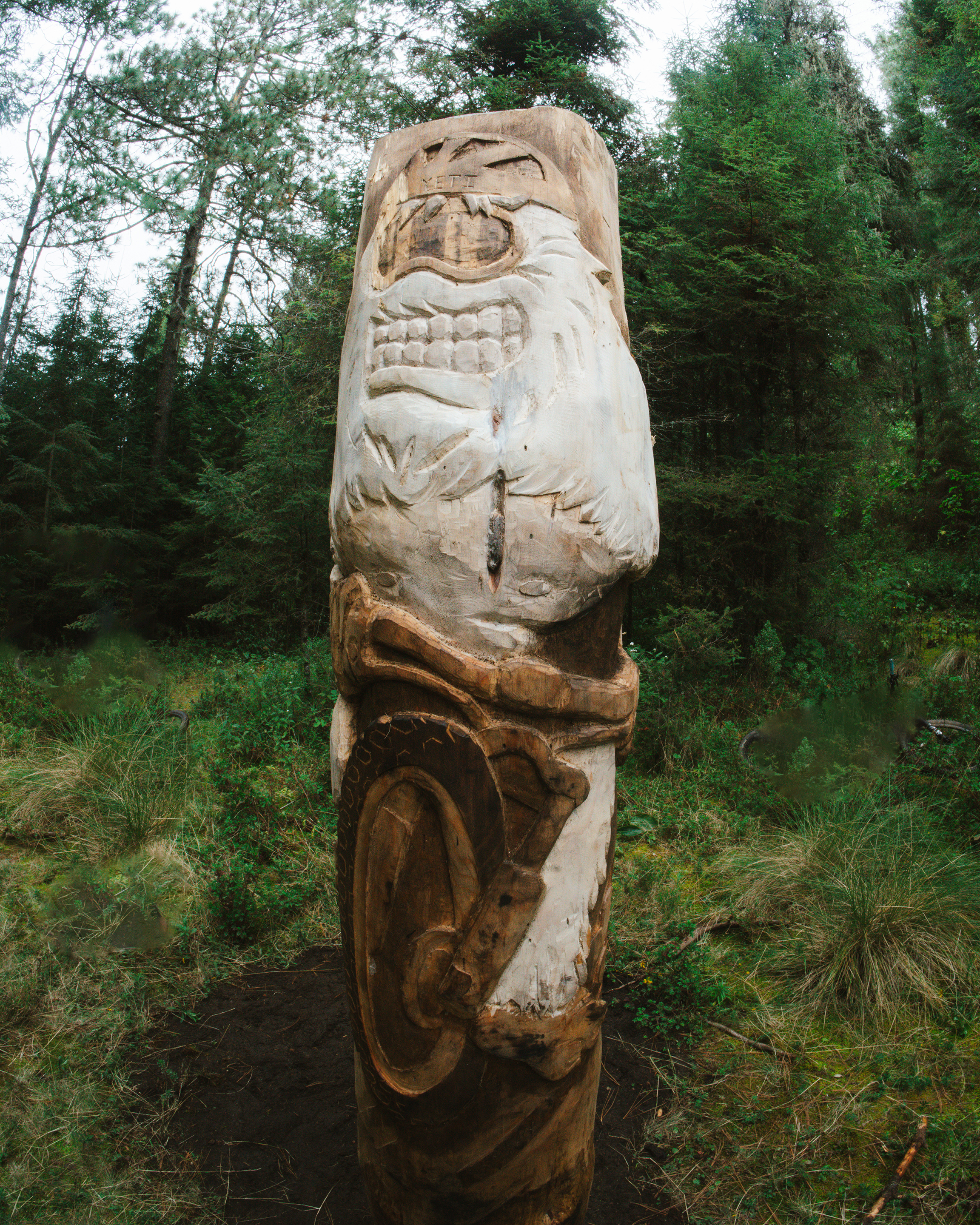 INT'L Gathering Mexico - Yeti Cycles