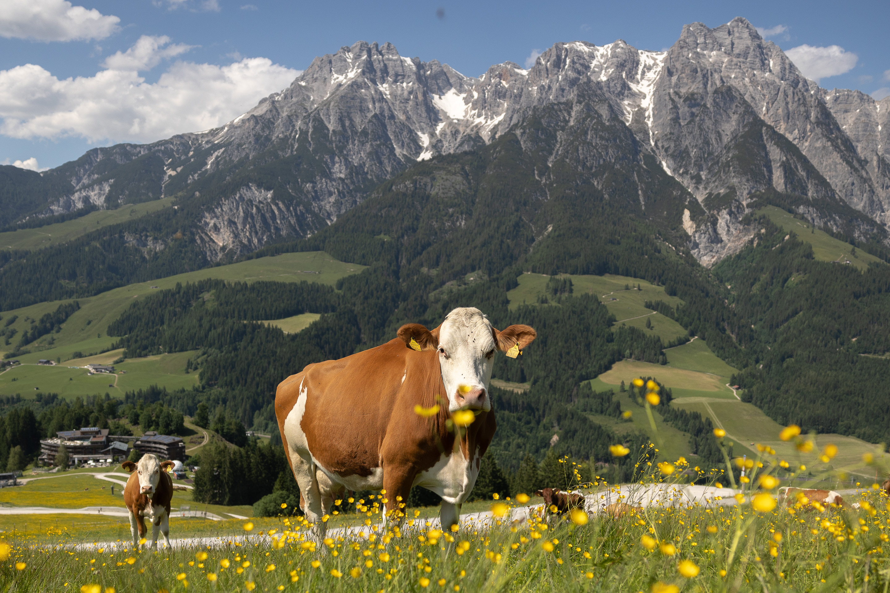 Mid-Season Dispatch: Enduro World Cup - Yeti Cycles