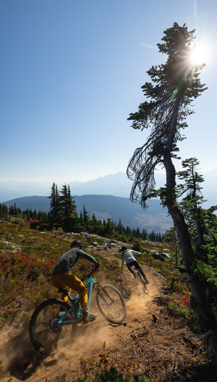 Yeti SB120 - Yeti Cycles